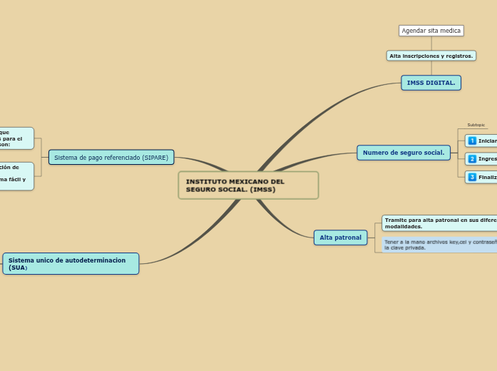 INSTITUTO MEXICANO DEL SEGURO SOCIAL. (IMS...- Mind Map